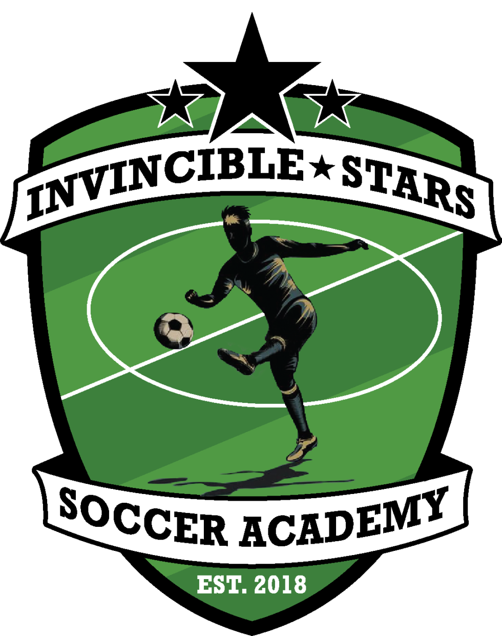 Invincible Stars Soccer Academy | Developing Skilled and Confident ...